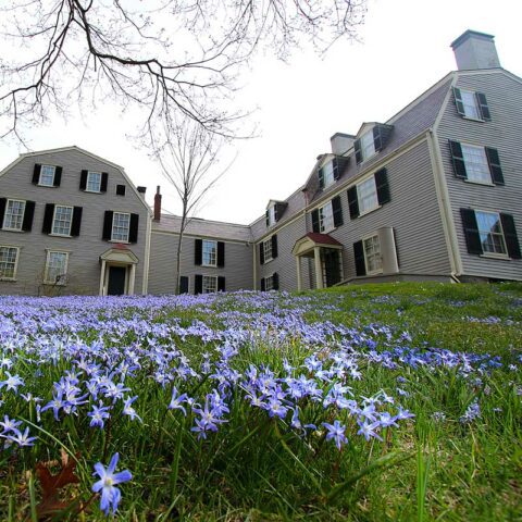 Visit Marina Bay & Quincy | Marina Bay Ferry